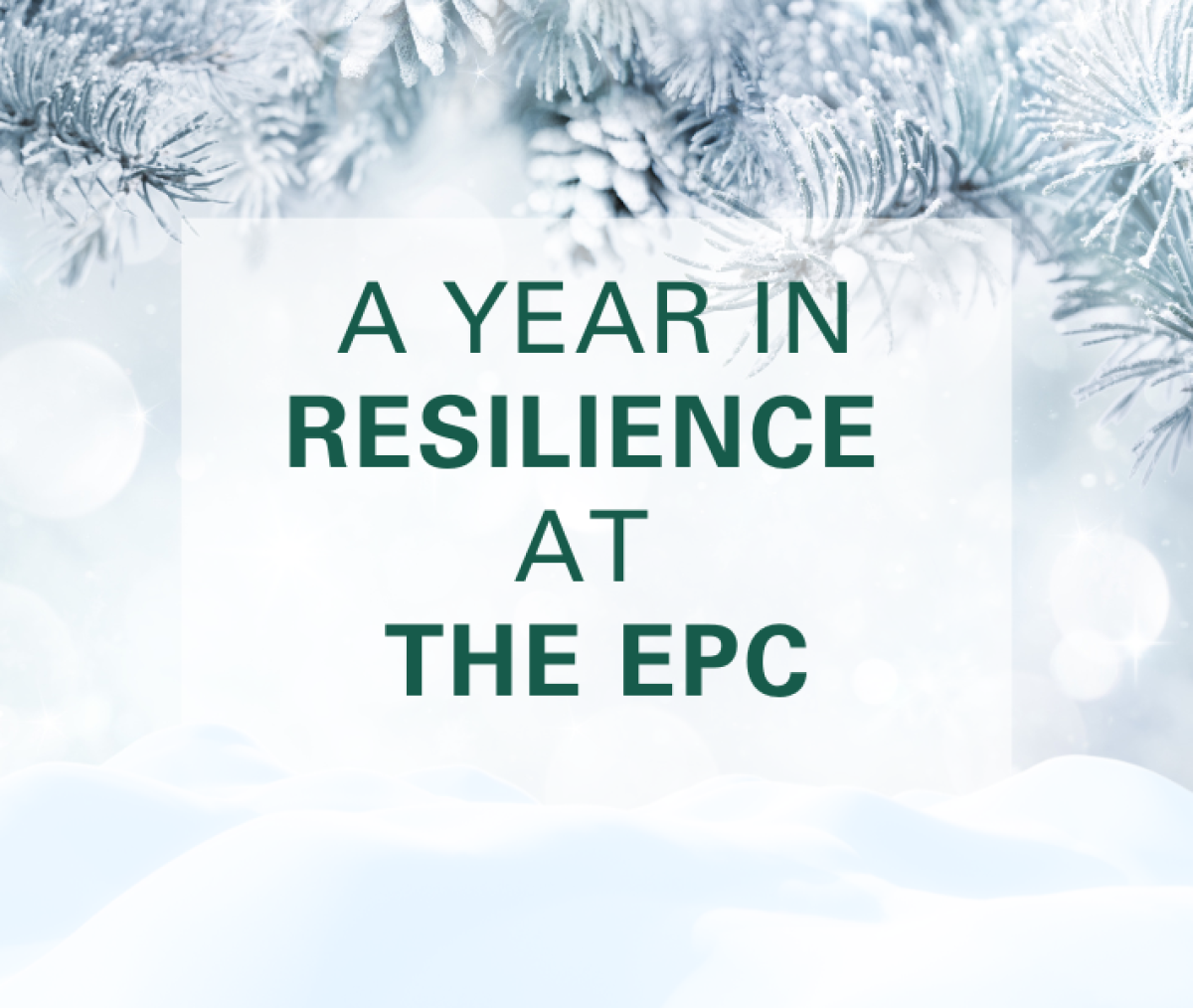 Reflecting On Resilience In 2023 Epc Resilience